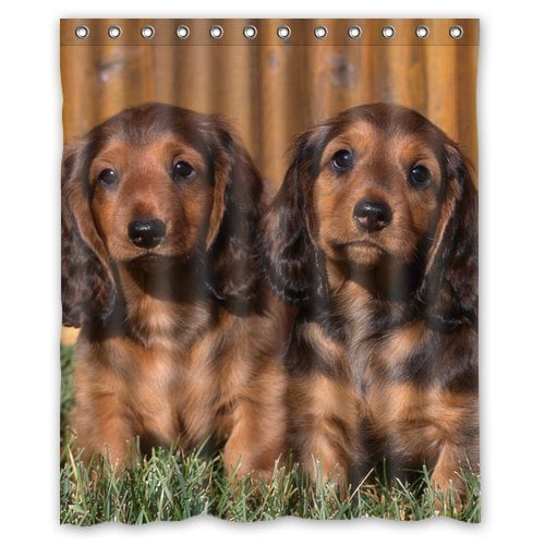 GreenDecor Dachshund Hunting Dog Waterproof Shower Curtain Set with ...