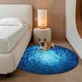 Blue School of Fish Round Rug 8ft Washable Circle Rugs Non Slip Ocean ...