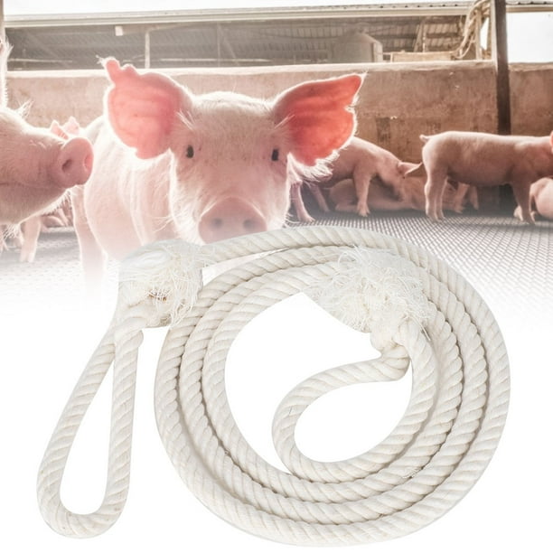 Cow Rope