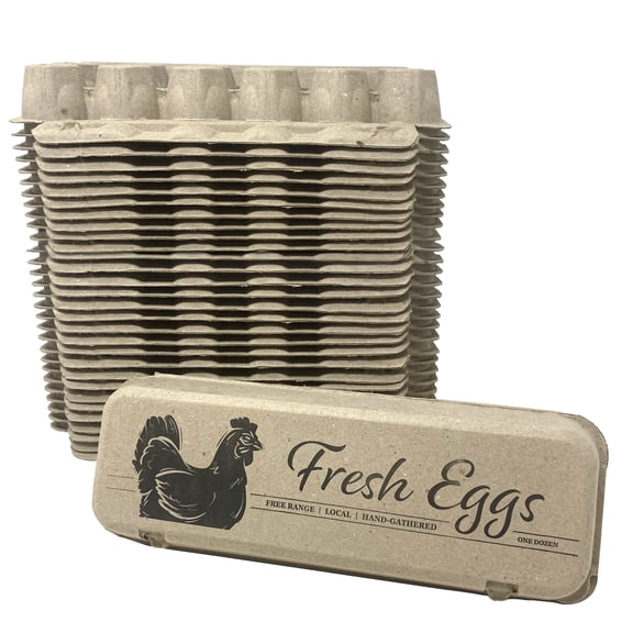 MT Products BIG FRESH Natural Pulp Egg Cartons | Hold 12 Large Eggs ...