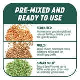 Pennington Smart Patch Mixed Sun or Shade Seed/Fertilizer/Mulch Repair ...