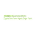 Nixie Sparkling Water Lime Ginger, 12 fl oz, Refreshing Unsweetened ...