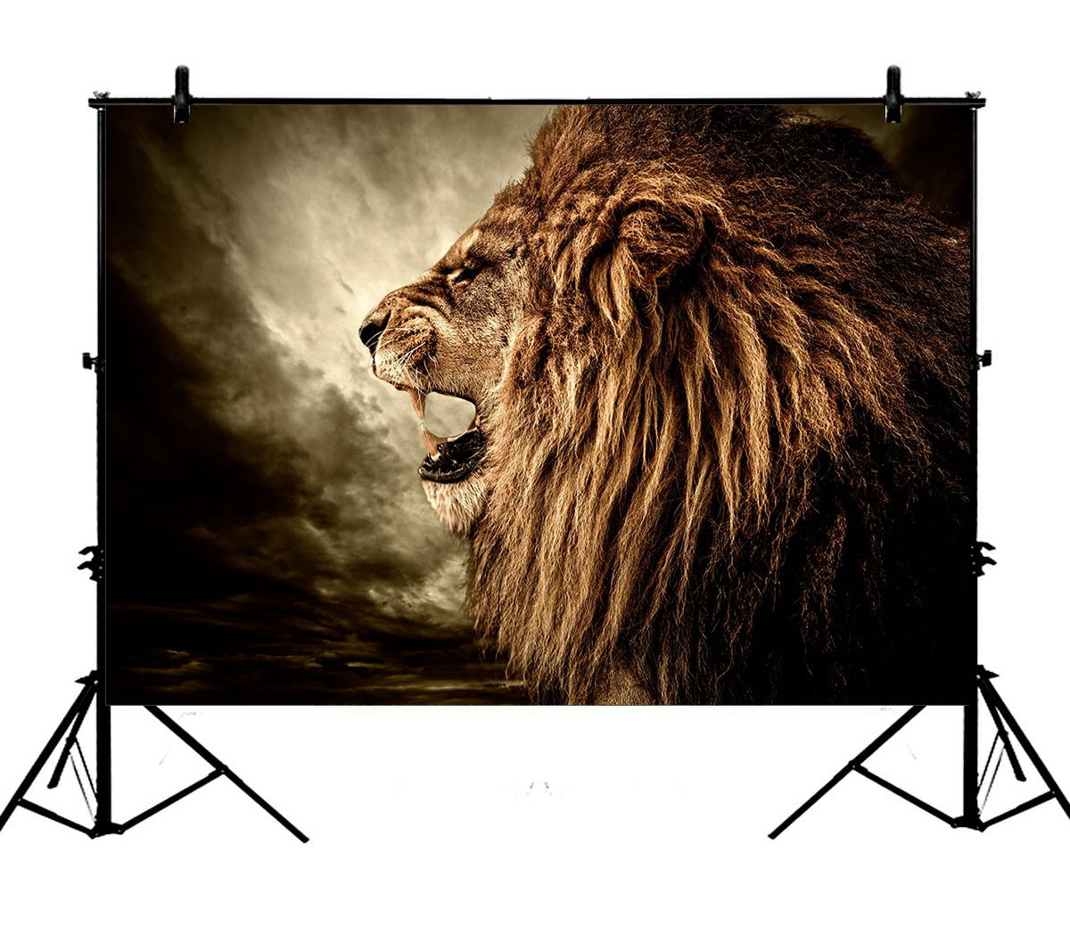 PHFZK 7x5ft Animal Backdrops, Roaring Lion against Stormy Sky ...