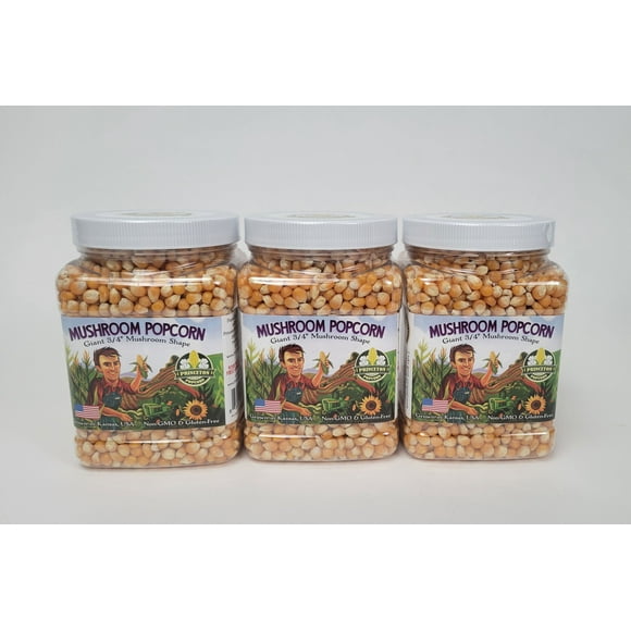 Popcorn Mushroom Kernel