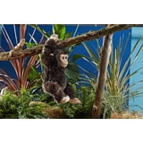 Living Nature Sloth Plush Toy, Realistic Soft Wildlife Animal, 24cm/9 ...