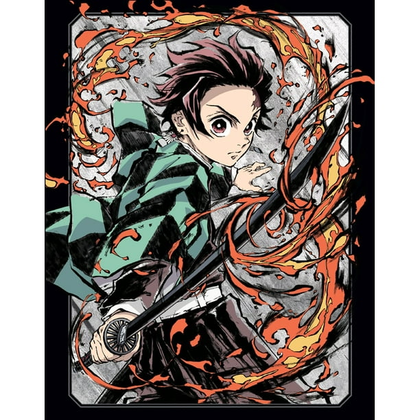 Demon Slayer Kimetsu no Yaiba Volume 2 Limited Edition Blu-ray ...