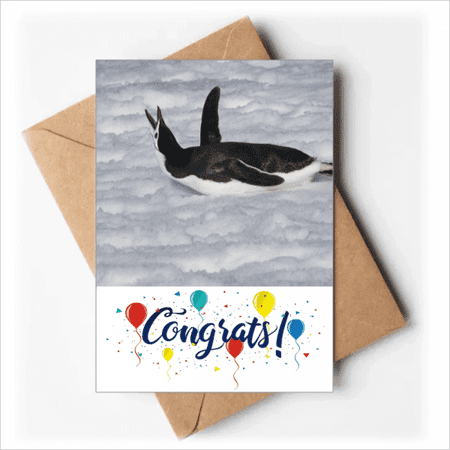 Water Black Antarctic Penguin Picture Wedding Cards Congratulations ...