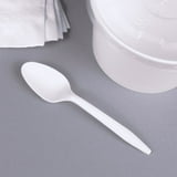 Karat Polypropylene Disposable Tea Spoons, Medium Weight, White, 1000 ...