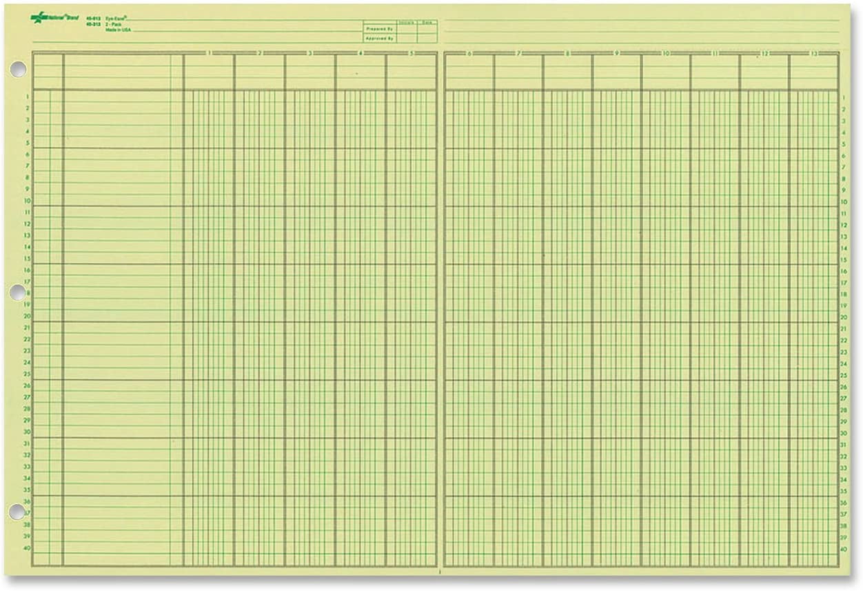 National Brand Analysis Pad, 13 Columns, Green Paper, 11 x 16.375 ...