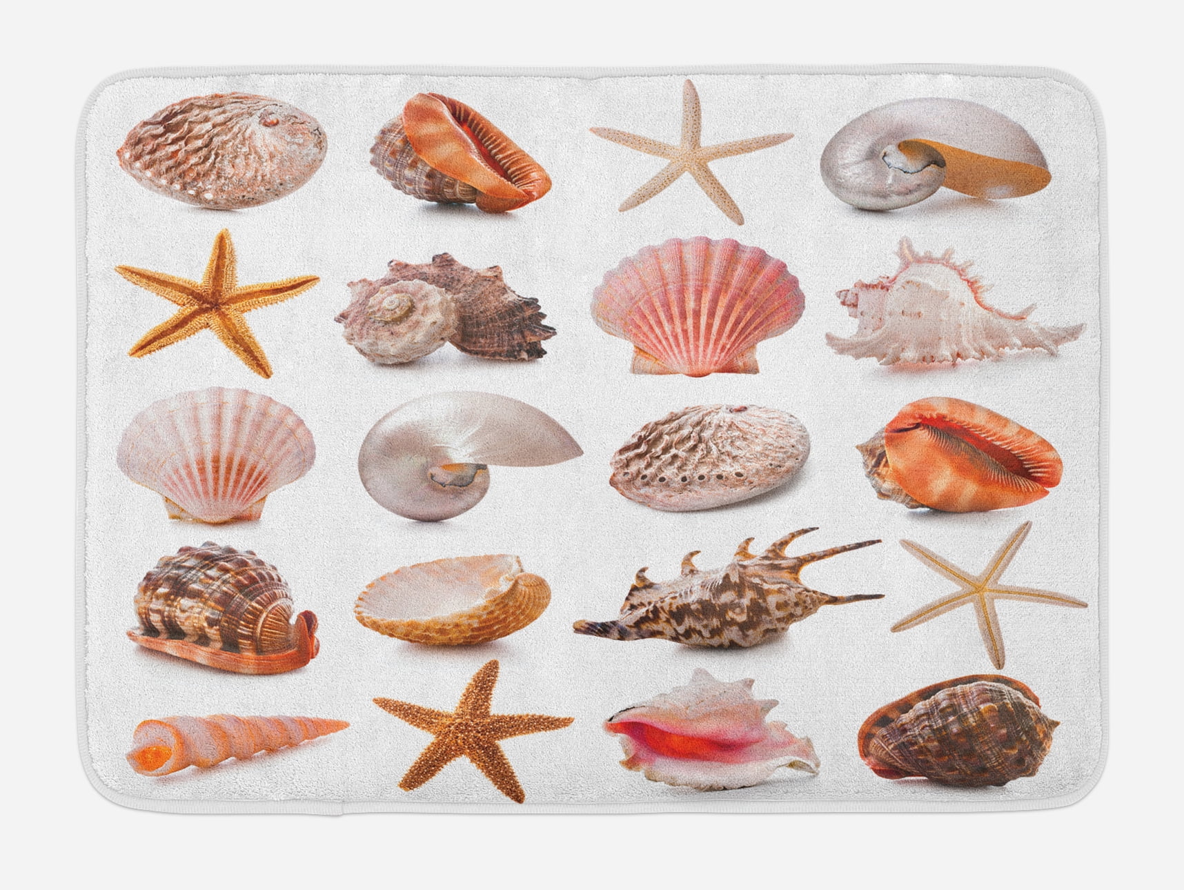 Seashells Bath Mat, Seashell Collection Scallop Nautilus Mollusk Summer ...