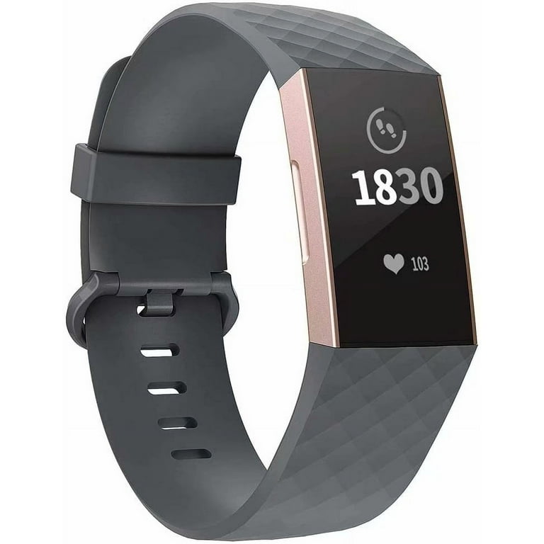 Fitbit Flex Slate