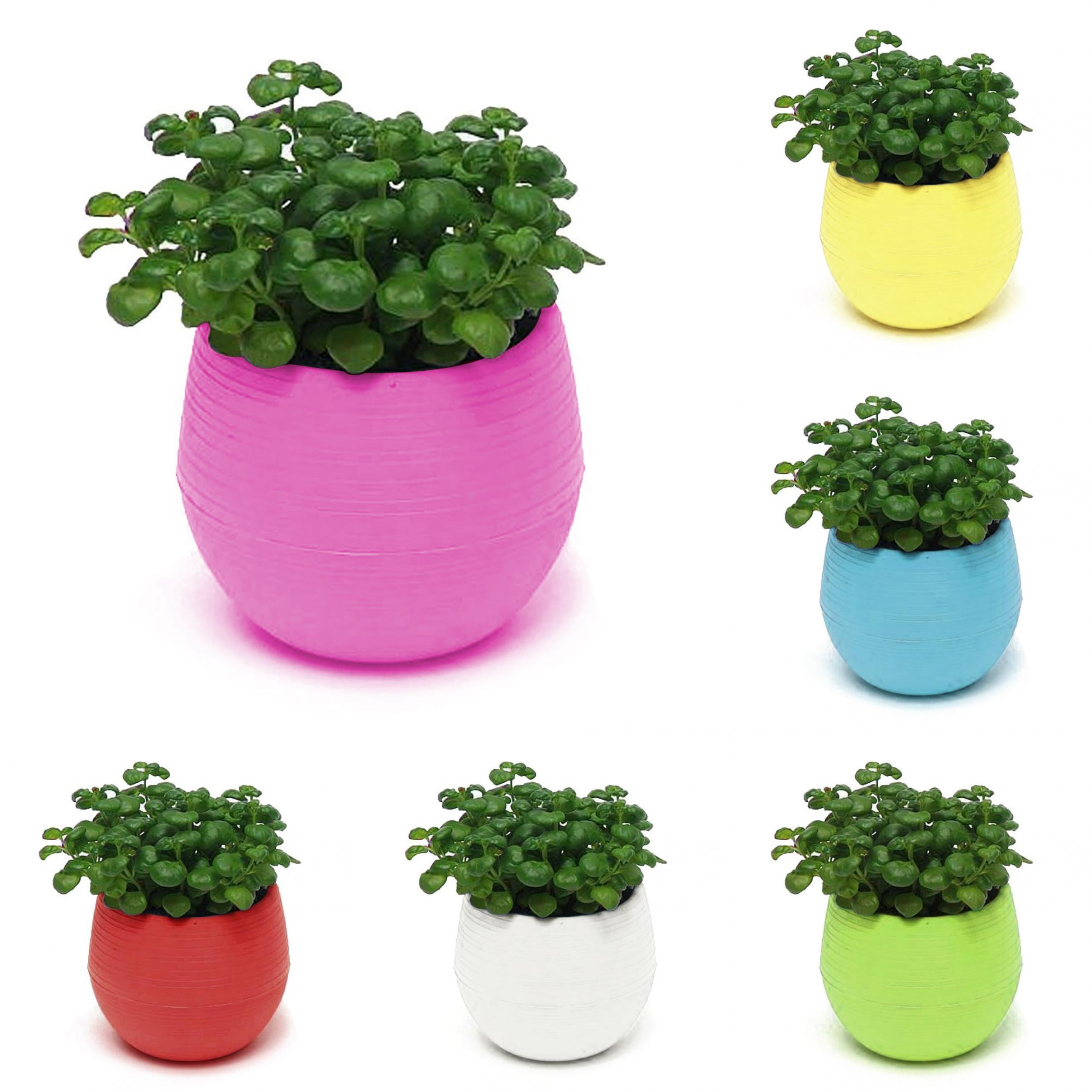 Limei 5 Pack Cute Succulent Plants Flower Pot Saucer Tray Planter Home ...