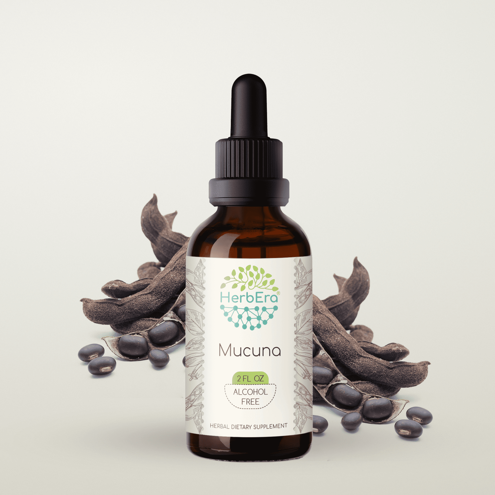 Mucuna Alcohol-FREE Herbal Extract Tincture, Super-Concentrated Organic ...