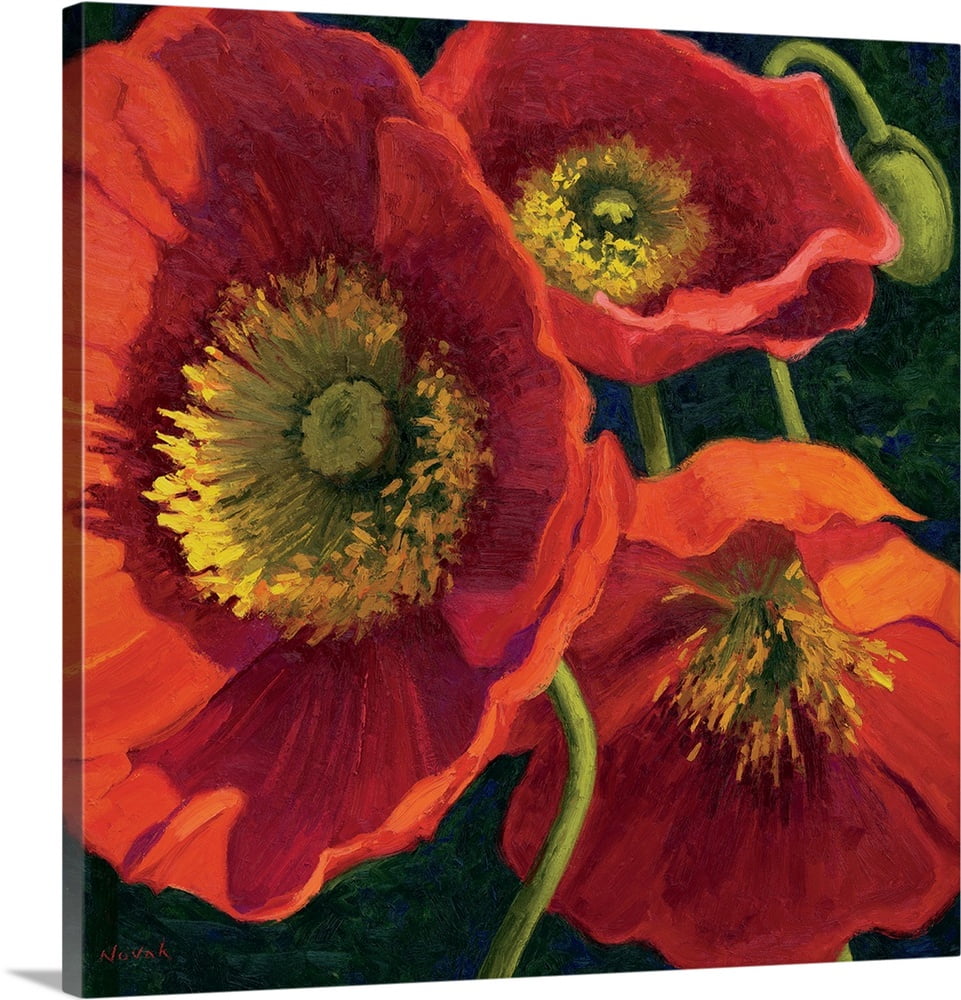 Great BIG Canvas Red Poppy Trio II Canvas Wall Art 30x30 Great BIG Canvas Red Poppy Trio II Canvas Wall Art 30x30