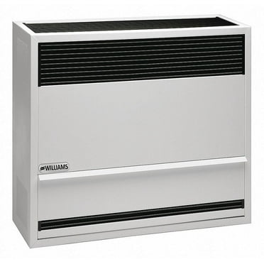 Direct Vent Wall Furnace, 14,000 Btu, Lp Gas - Walmart.com