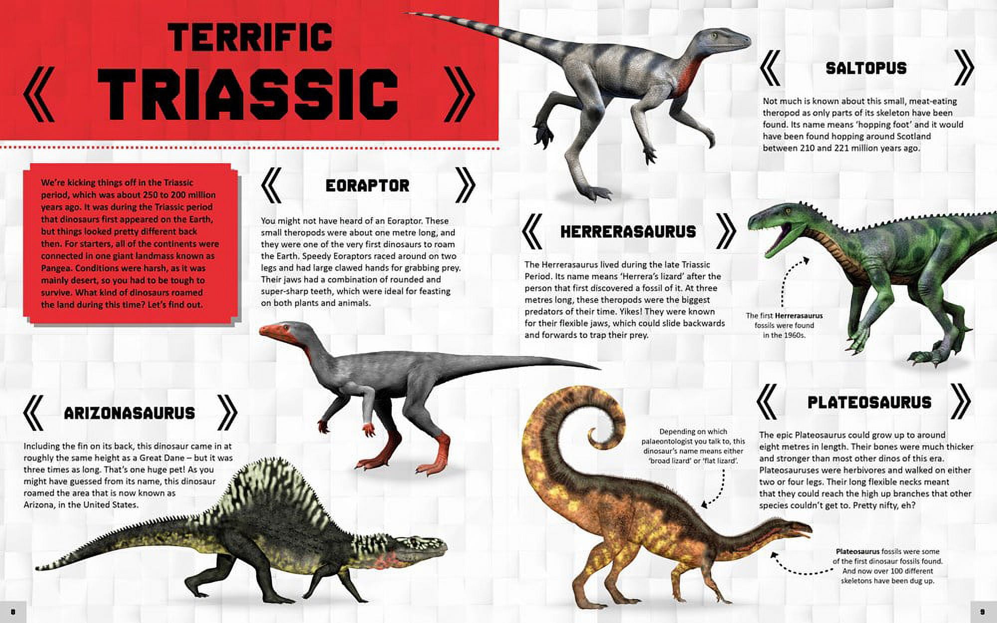 Arizonasaurus Fossils