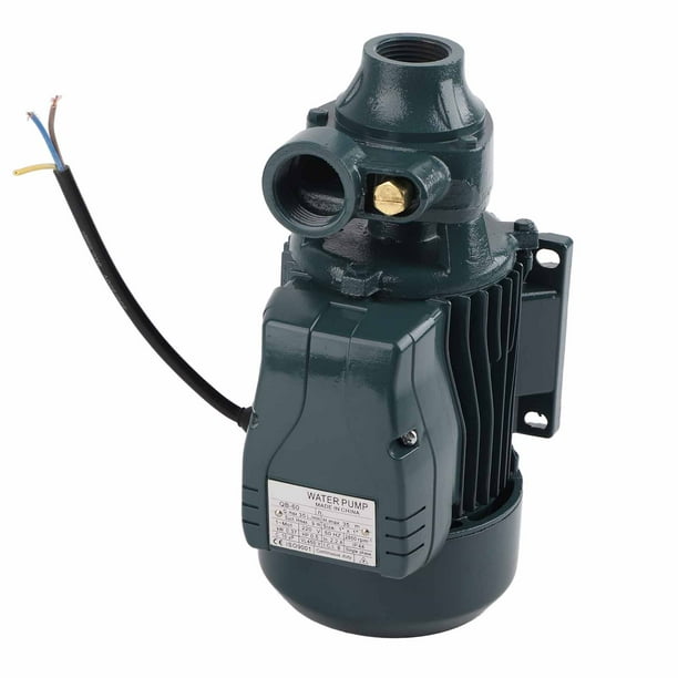 Motor Pump,370W Clean Water Pump Lift Water Pump Regenerative Pump Streamlined Design - Walmart.ca