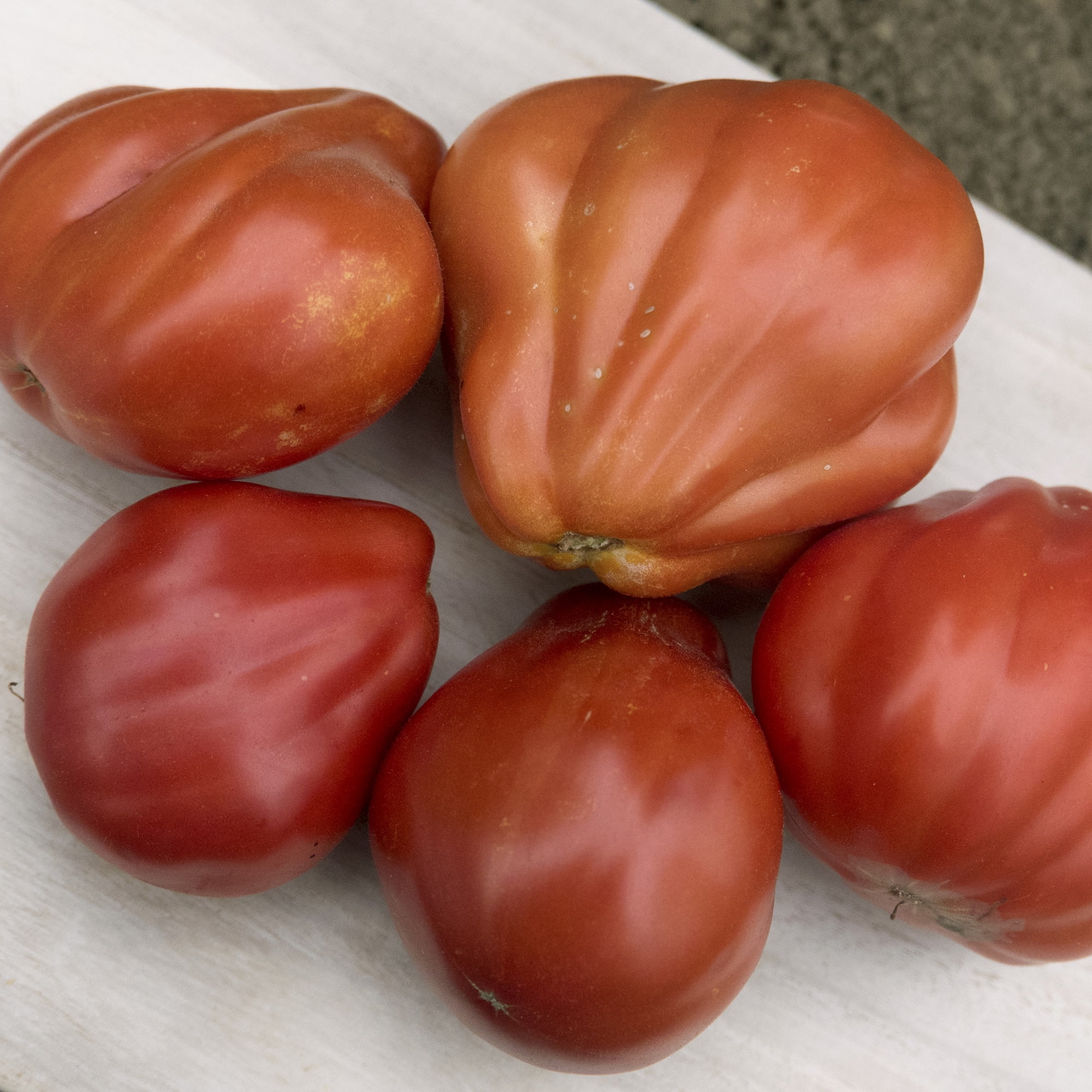 Red Truffle Tomato Seeds - 1 Oz ~6800 Seeds - Non-GMO - Vegetable ...