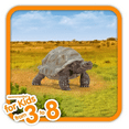 Schleich - 14824 | Wild Life: Giant Tortoise - Walmart.com
