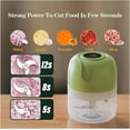 BN-LINK Electric Mini Garlic Chopper, 250ML Food Processor, USB ...