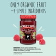 Crofters Organic Seedless Raspberry Fruit Spread, Low Sugar Jam, 16.5 ...