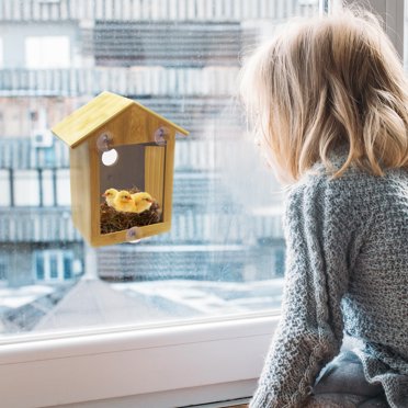 2 Way Mirrored Wooden Bird House, See Through, Suction Cup Window ...