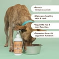 Natural Dog Company Wild Alaskan Salmon Oil for Dogs, Vet Formulated ...