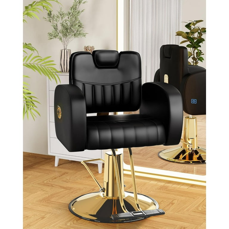Baasha Ergonomic Reclining Salon Chair with Adjustable Headrest Reclining backrest Heavy Duty Barber Chair with Steel Frame Stylish Hair Chair