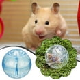QenASHaing Acrylic hamster exercise ball 3.9 inch, clear see-through ...