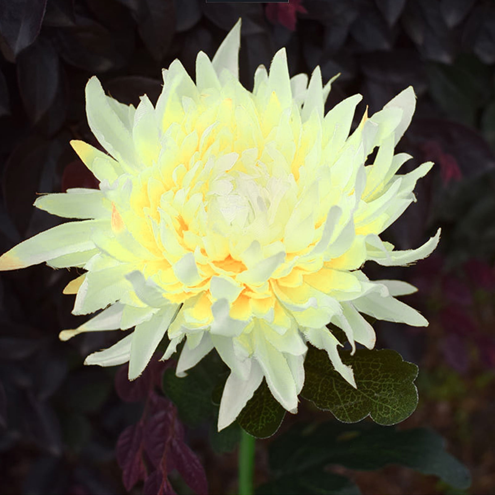 Click here for Dvkptbk Solar Lights Solar Chrysanthemum Lights Ou... prices