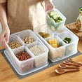 BingTong Ice Powder Box – 10.4 x 7.9 x 4.1 Inch Plastic Seasoning ...