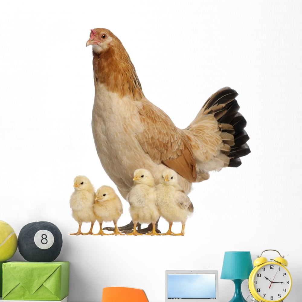 Hen with Its Chicks Wall Decal by Wallmonkeys Peel and Stick Graphic ...