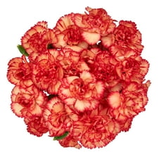 Fresh Produce - Walmart.com