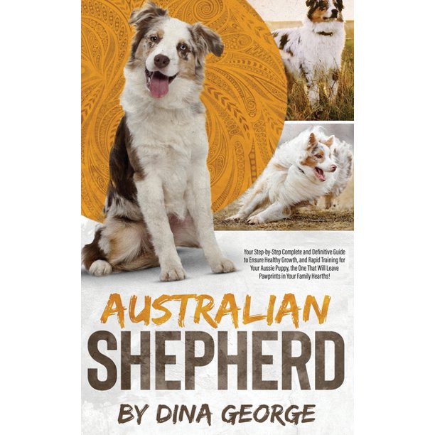 Austrailian Shepard Puppy
