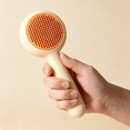 ACDANC 2026 New 2Pcs Cat Brush,Fine Needle Comb Design Dog Brush,One ...