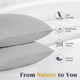 Goose Feathers Down Pillows - Standard Size Bed Sleeping Hotel ...