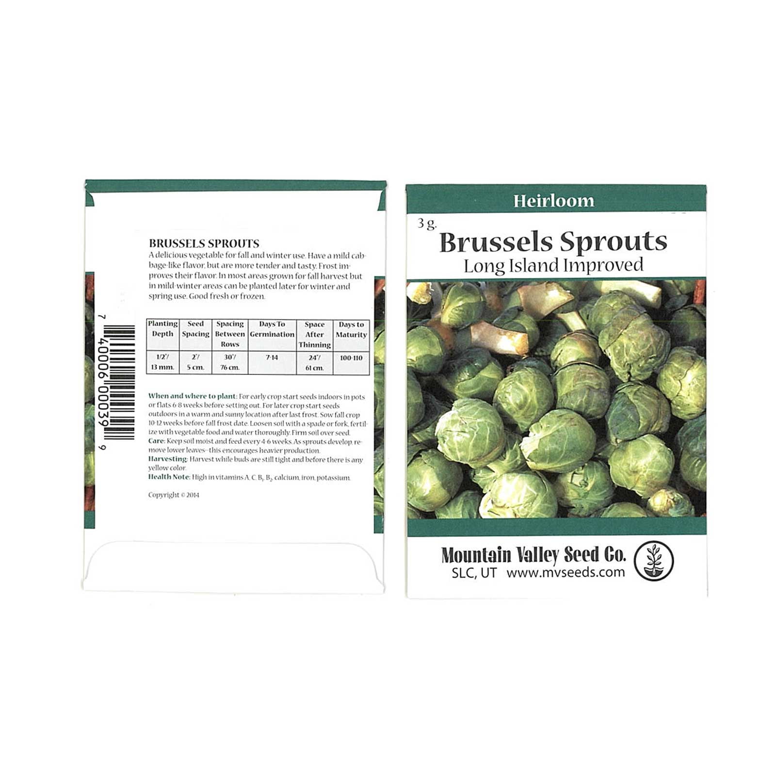 Long Island Improved Brussel Sprouts Garden Seeds: 3 Gram Packet - Non ...