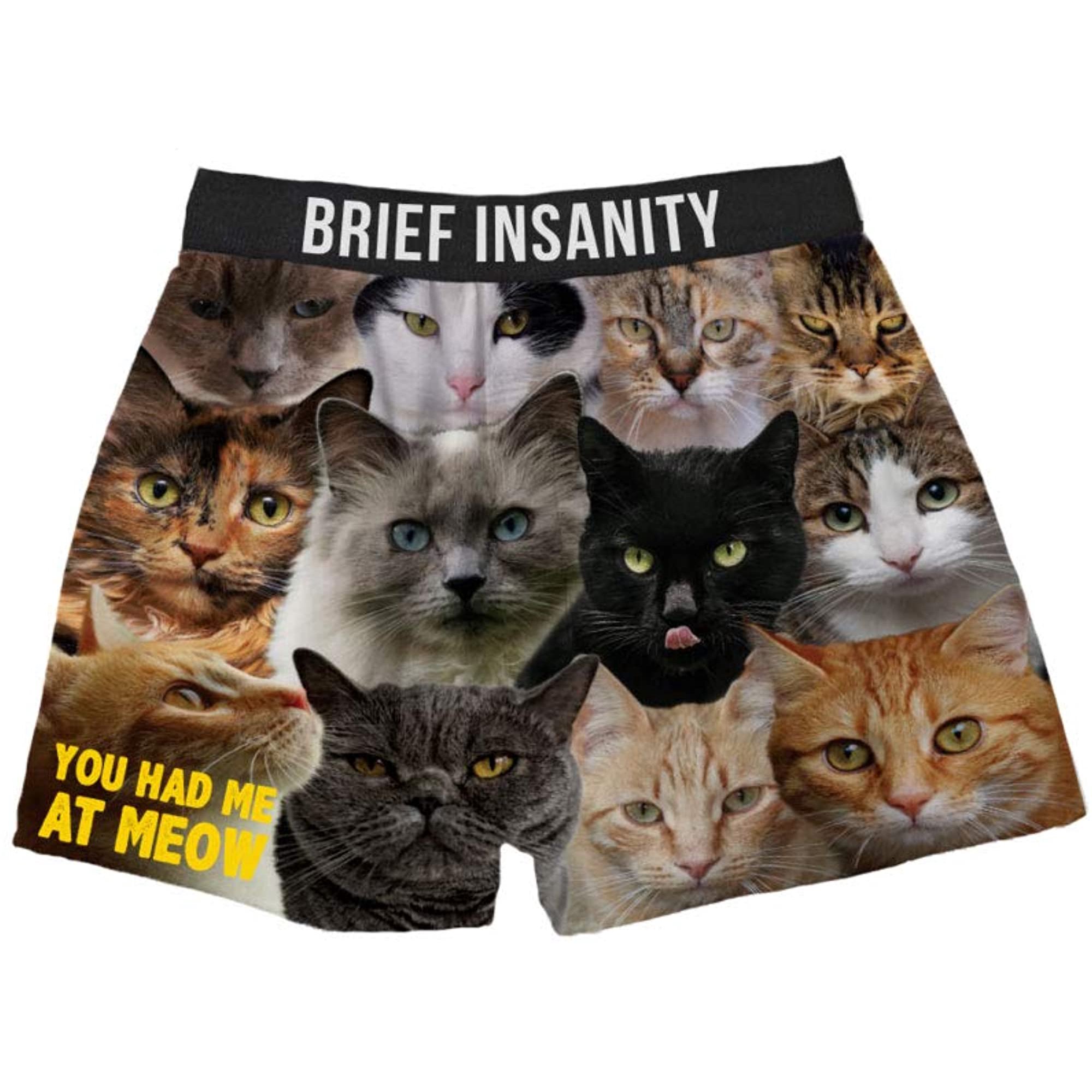 Do Boxers Get Along With Cats