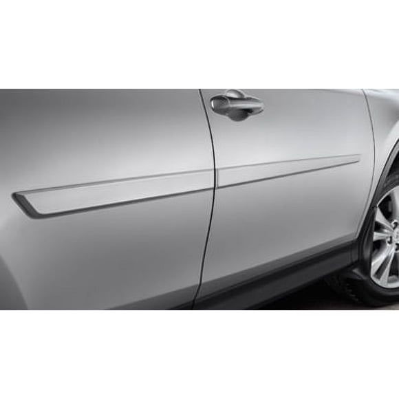 Toyota Sienna Door Molding