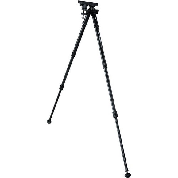 Shooting Sticks
