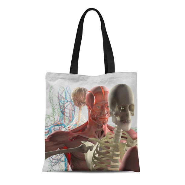 HATIART Canvas Tote Bag Human Anatomy Exploded View Deconstructed ...