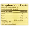 Spring Valley Collagen Peptides Type 1 & 3 Dietary Supplement, 9 oz ...