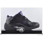 Spalding NBA Toronto Raptors Team Mini - Walmart.com