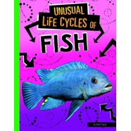 Baby Fish (Board Book) - Walmart.com