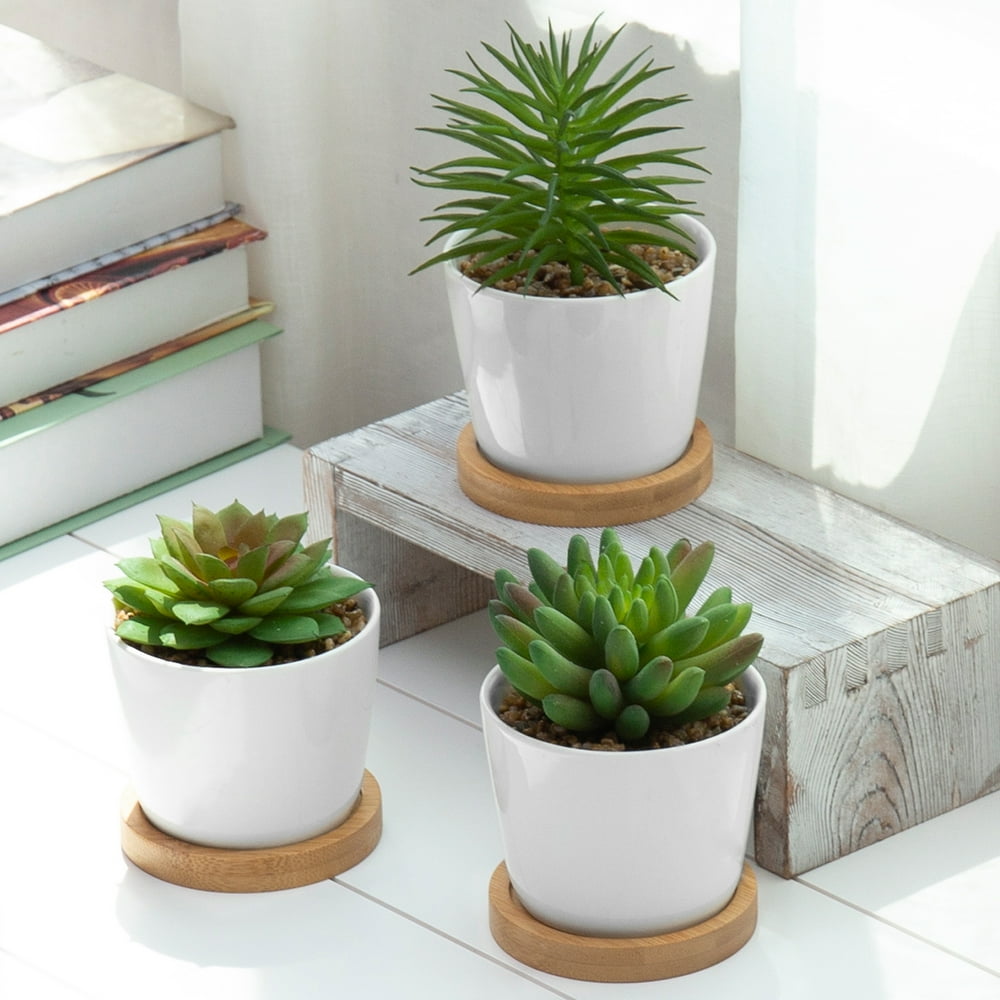 Myt Artificial Succulent Mini White Pots With Round Bamboo Saucers