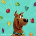 Scooby Doo Fruity Gummies, Value Box, Vitamin C Enriched, Gluten-Free ...