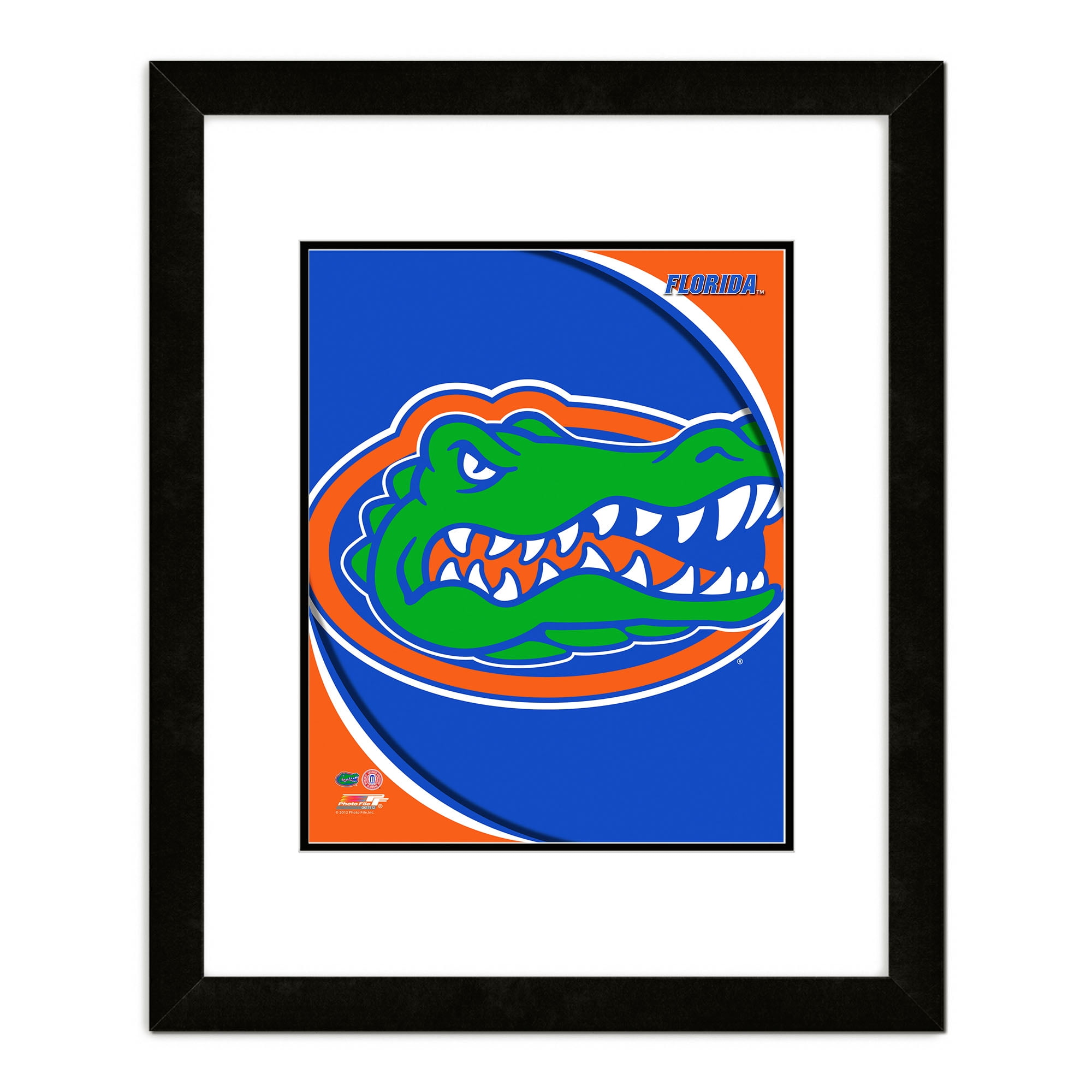 University of Florida Gators Team Logo 18"x22" Matted and Framed Photo ...
