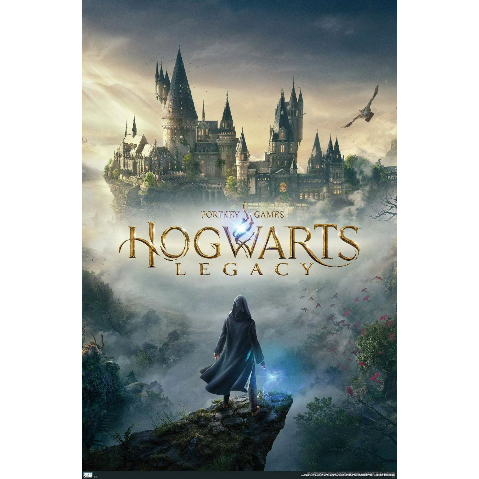 Click here for Trends International Harry Potter: Hogwarts Legacy... prices