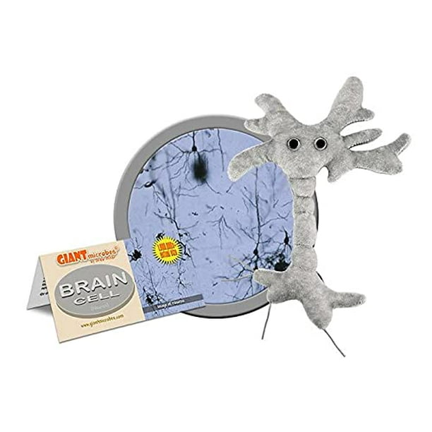 Giant Microbes Brain Cell (Neuron) Plush Toy - Walmart.ca