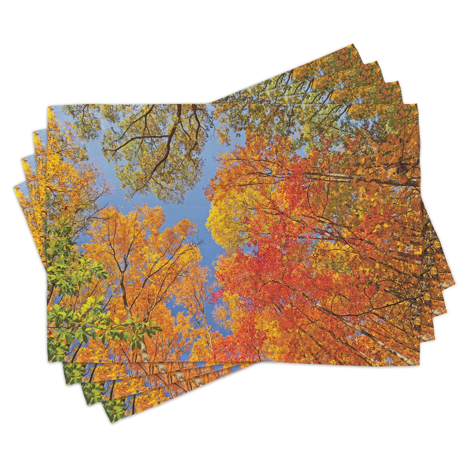 Ambesonne Fall Place Mats Set of 4, Forest in Autumn, Standard Size ...